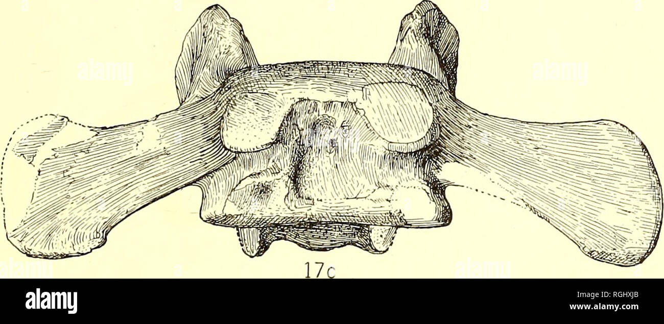 . Bulletin of the Department of Geology. Geology. Figs. 17a, 17b, and ...