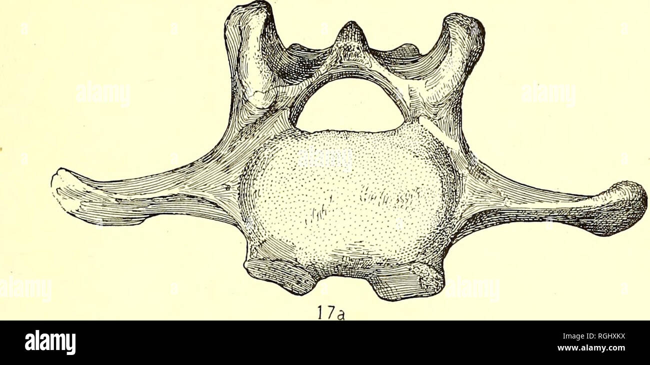 Hawver cave hi-res stock photography and images - Alamy