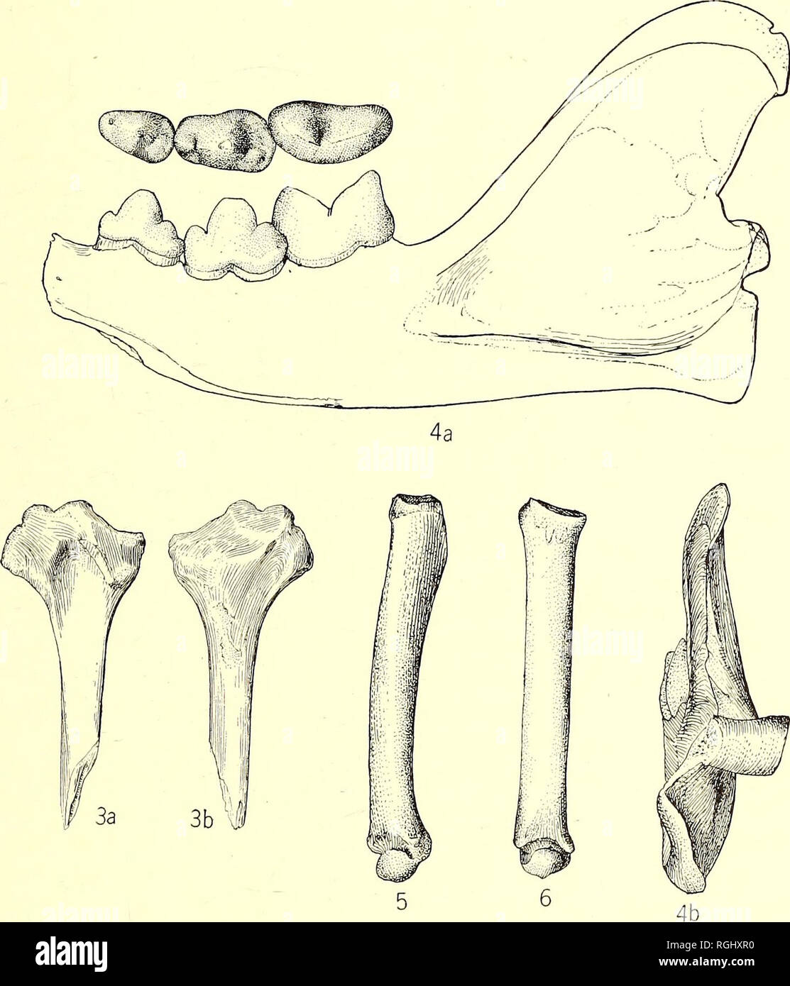 Hawver cave hi-res stock photography and images - Alamy