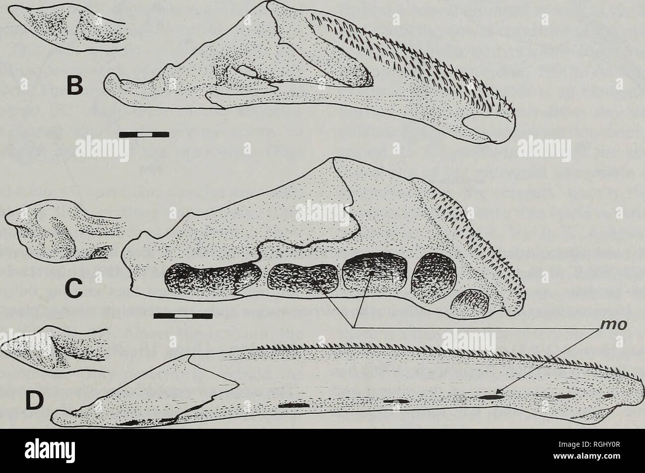 1891 1982 hi-res stock photography and images - Alamy