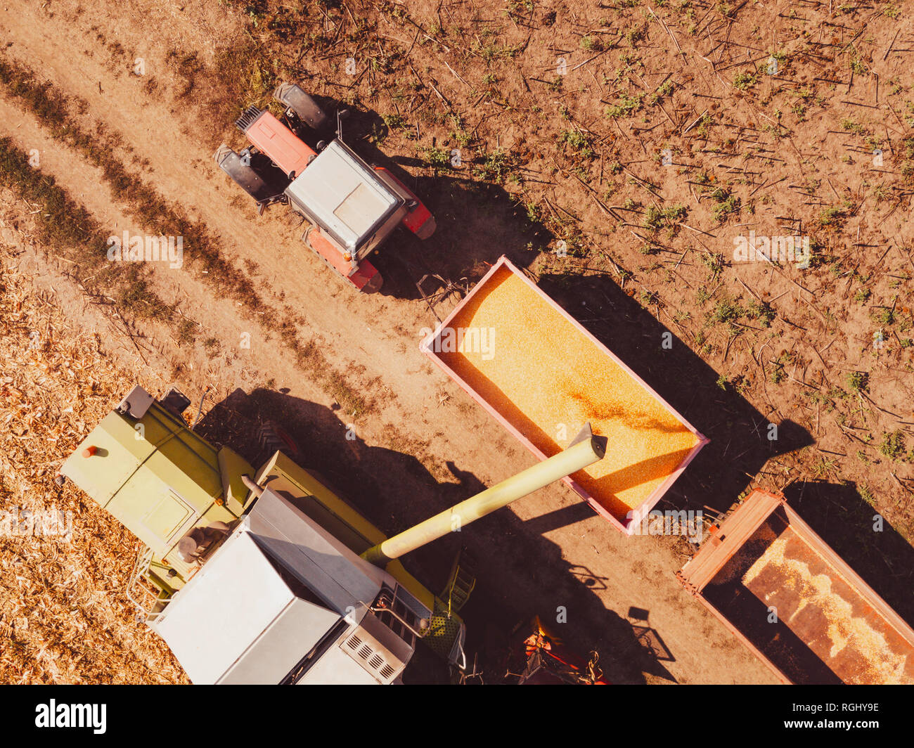 Grain cart cornfield hi-res stock photography and images - Alamy
