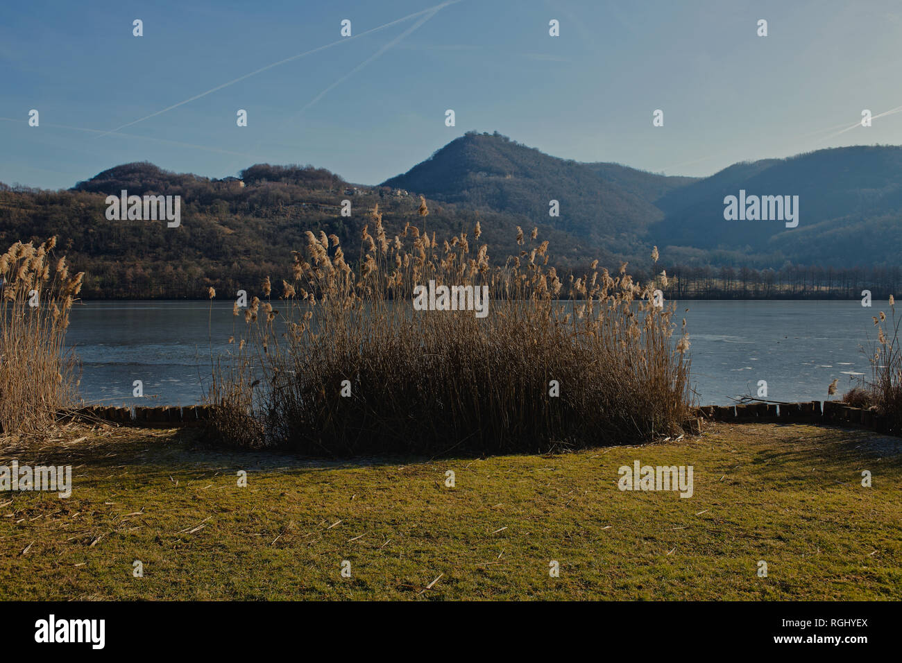 winter nature on the lake shore Fimon Italy Vicenza Stock Photo - Alamy