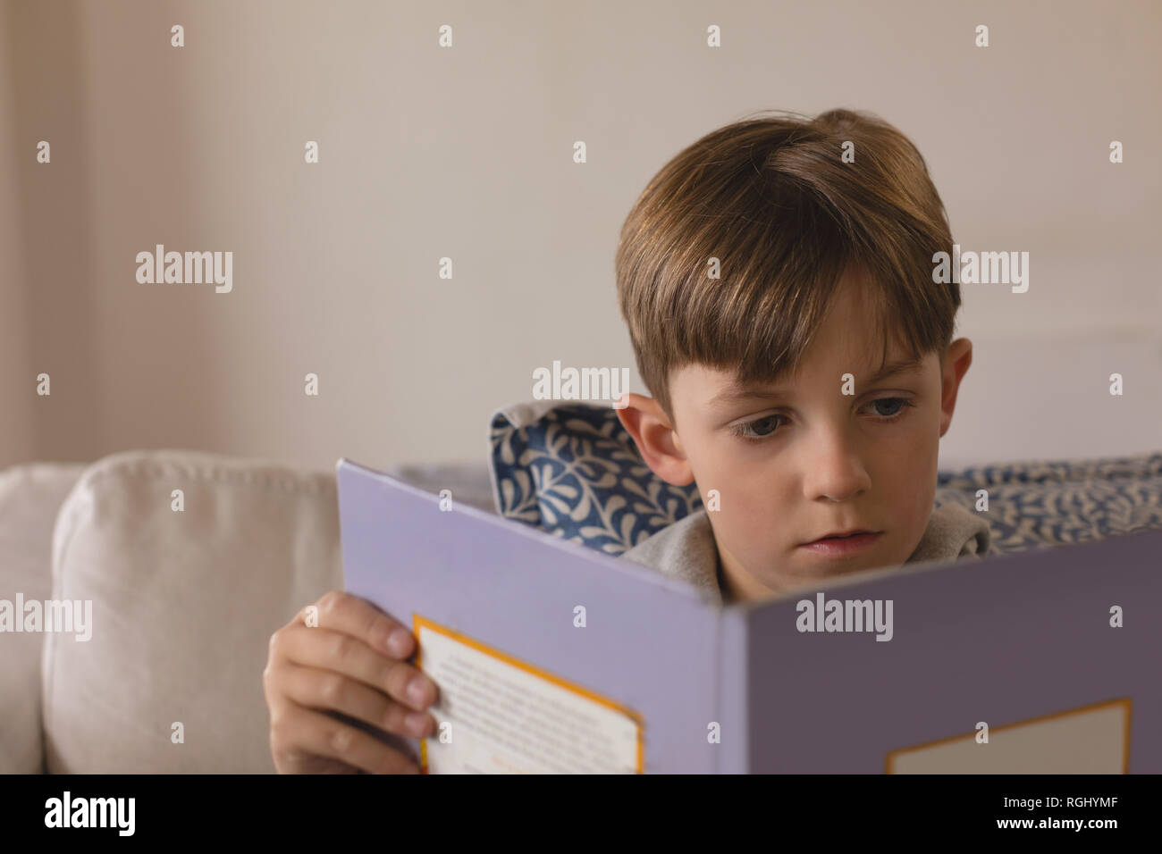 Boy reading a story book in living room Stock Photo - Alamy