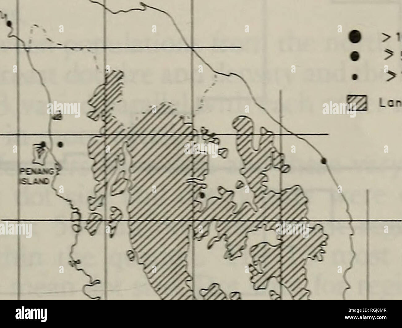 Gua musang hi-res stock photography and images - Alamy