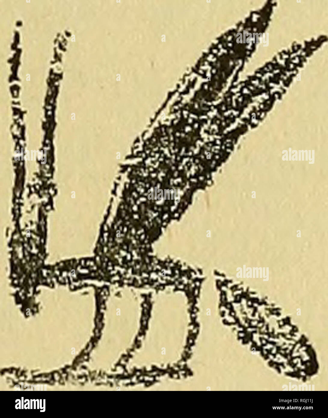 Egyptian hieroglyphics great pyramid hi-res stock photography and ...