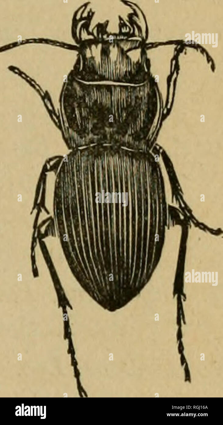 Cal 10 4 mm hi-res stock photography and images - Alamy