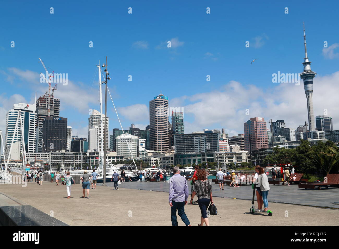 View of Auckland's Skyline with its iconic Sky Tower from the ...
