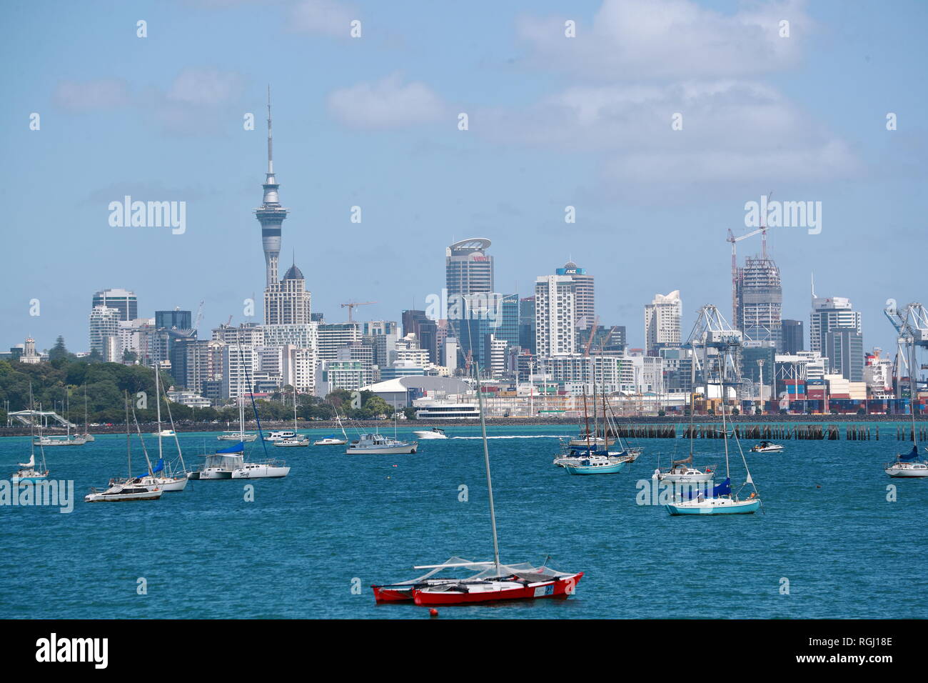 View of Auckland's Skyline with its iconic Sky Tower from the ...
