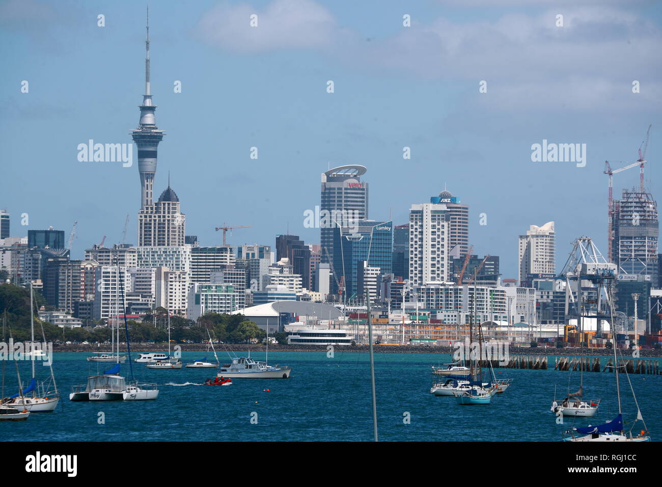 View of Auckland's Skyline with its iconic Sky Tower from the ...