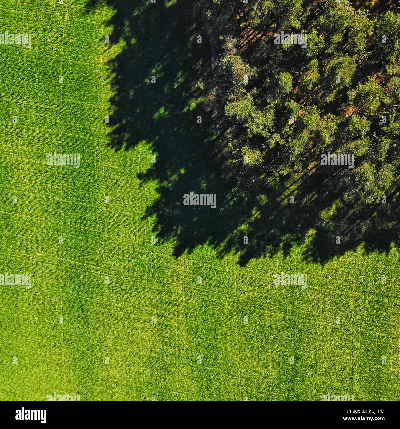 Top view nature hi-res stock photography and images - Alamy