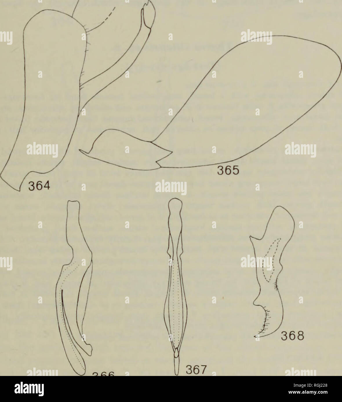 . Bulletin of the British Museum (Natural History) Entom Supp. REVISION ...