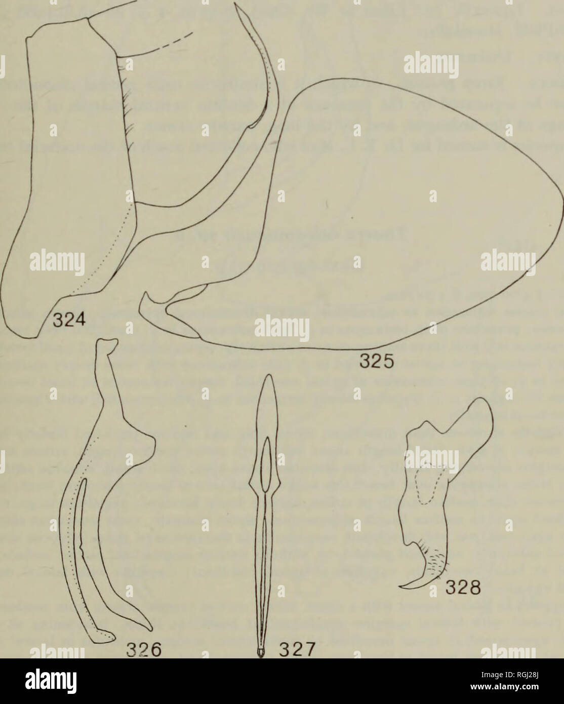 . Bulletin of the British Museum (Natural History) Entom Supp. REVISION ...