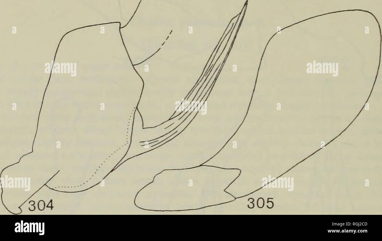 Striate area hi-res stock photography and images - Alamy