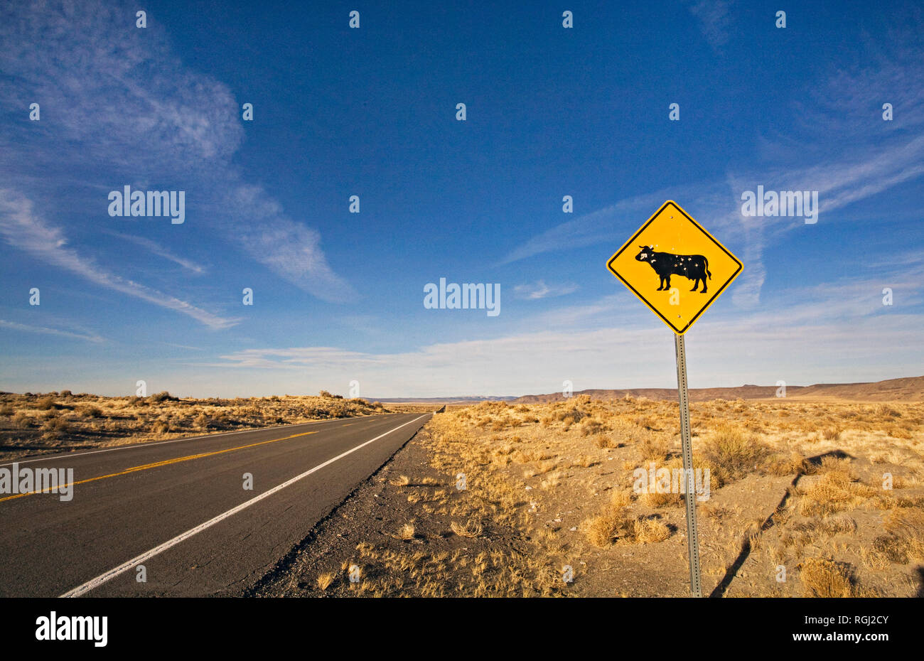 A bullet-riddled sign on a narrow road in the rural countryside of the ...