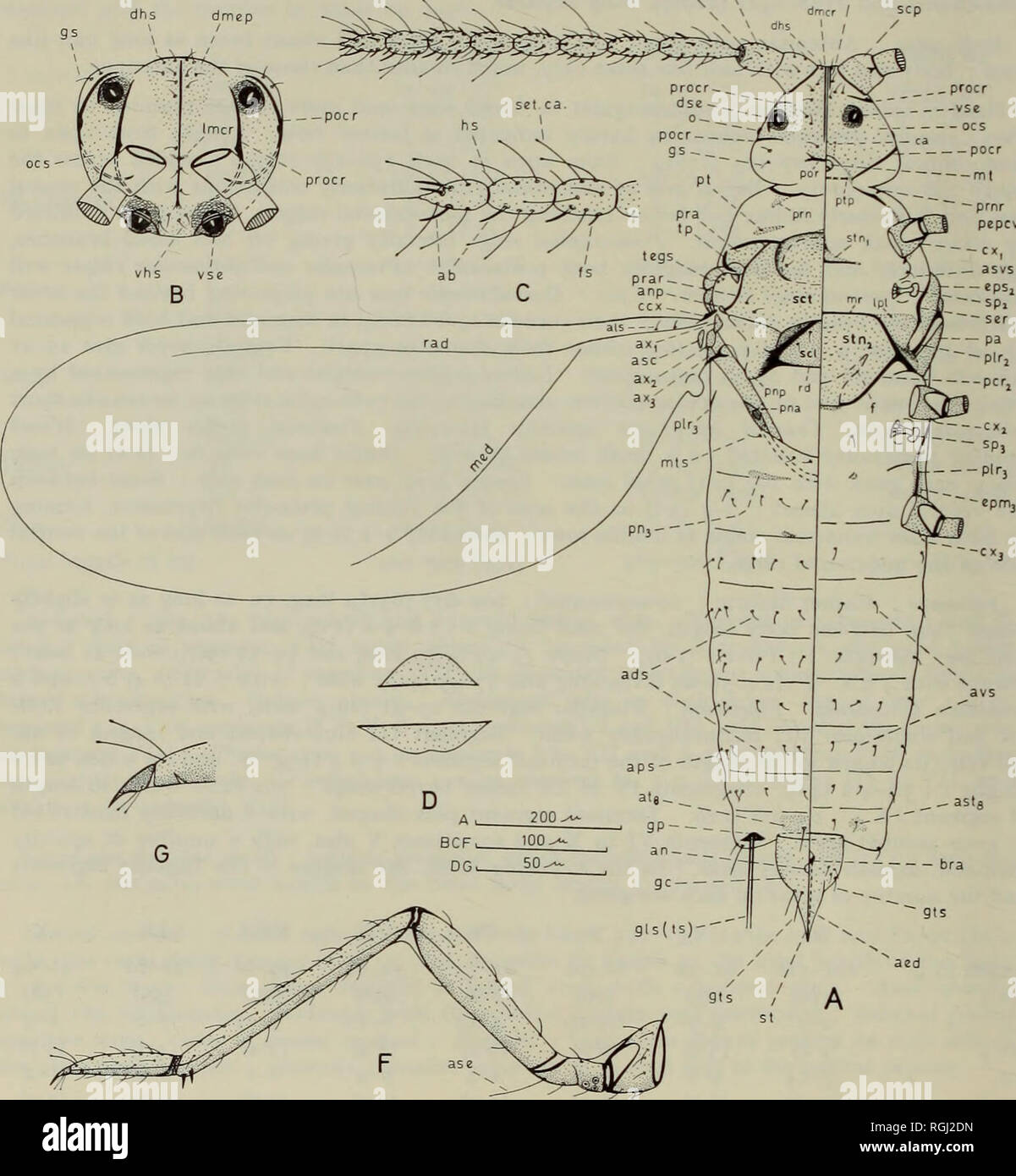Defined segments hi-res stock photography and images - Alamy