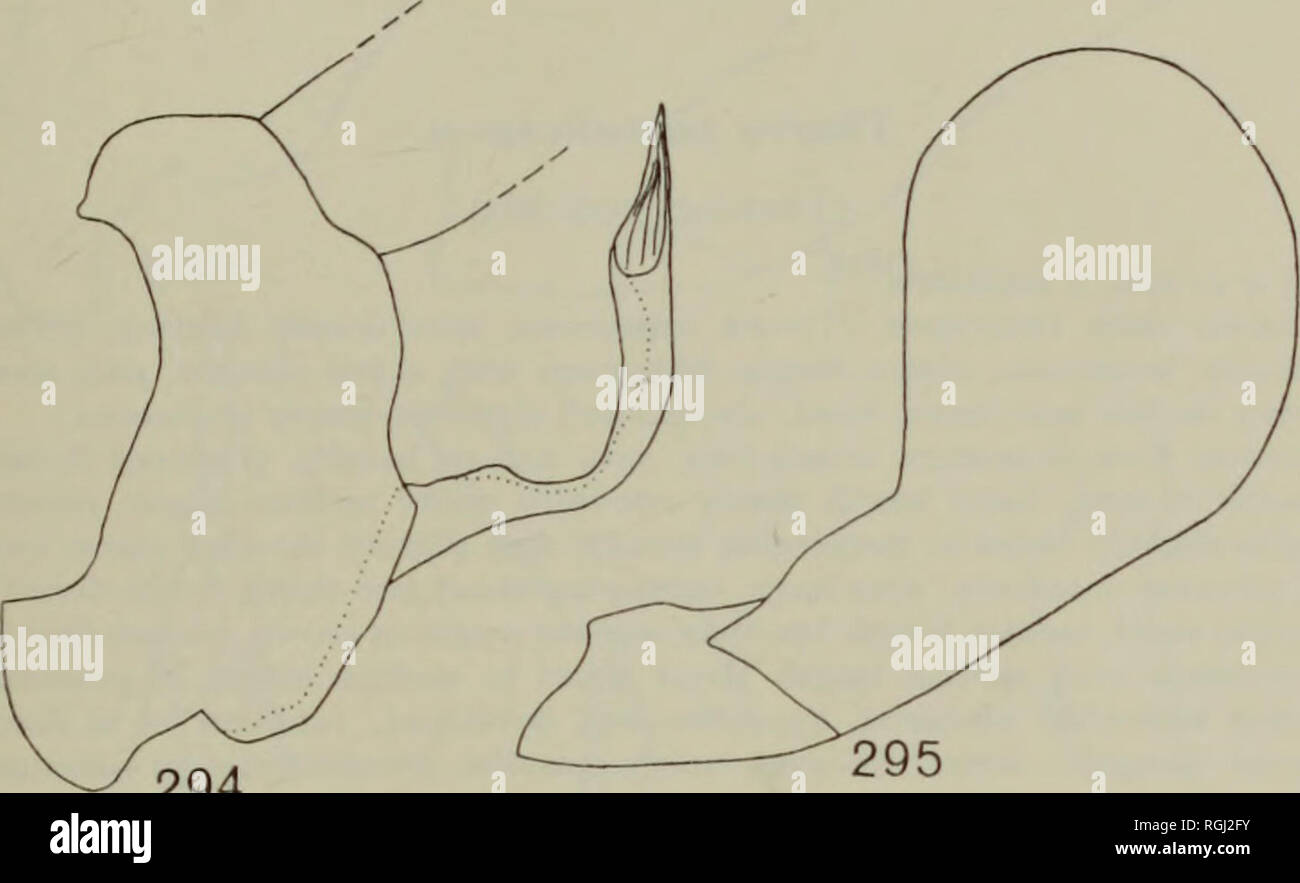 Papua new g hi-res stock photography and images - Alamy