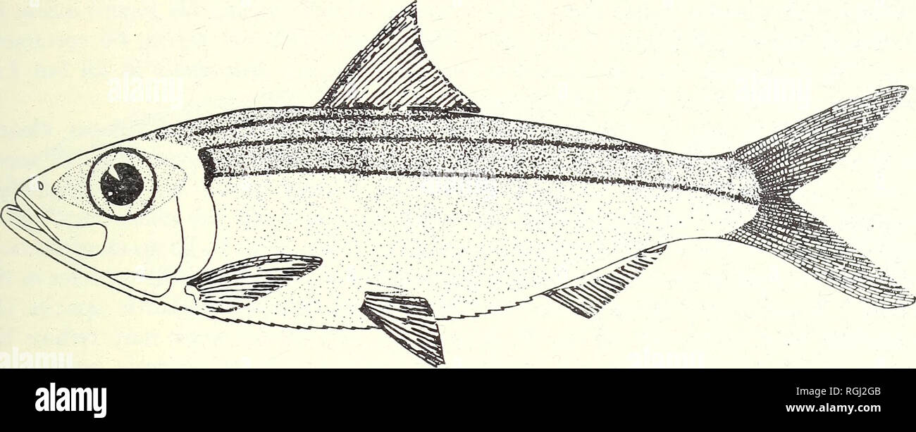 9 11 1966 hi-res stock photography and images - Alamy