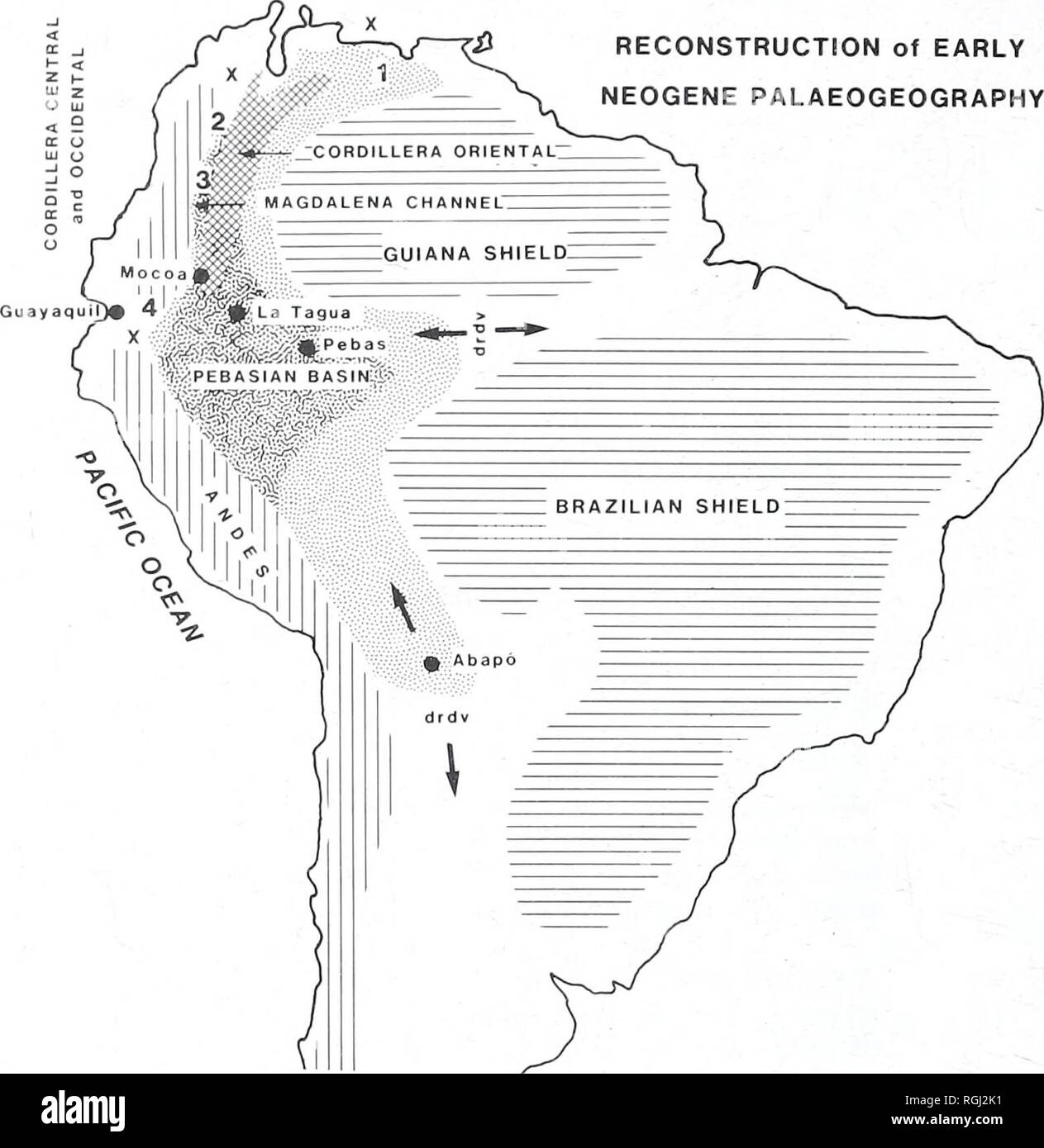 . Bulletin of the British Museum (Natural History). Geology.. 170 C. P ...