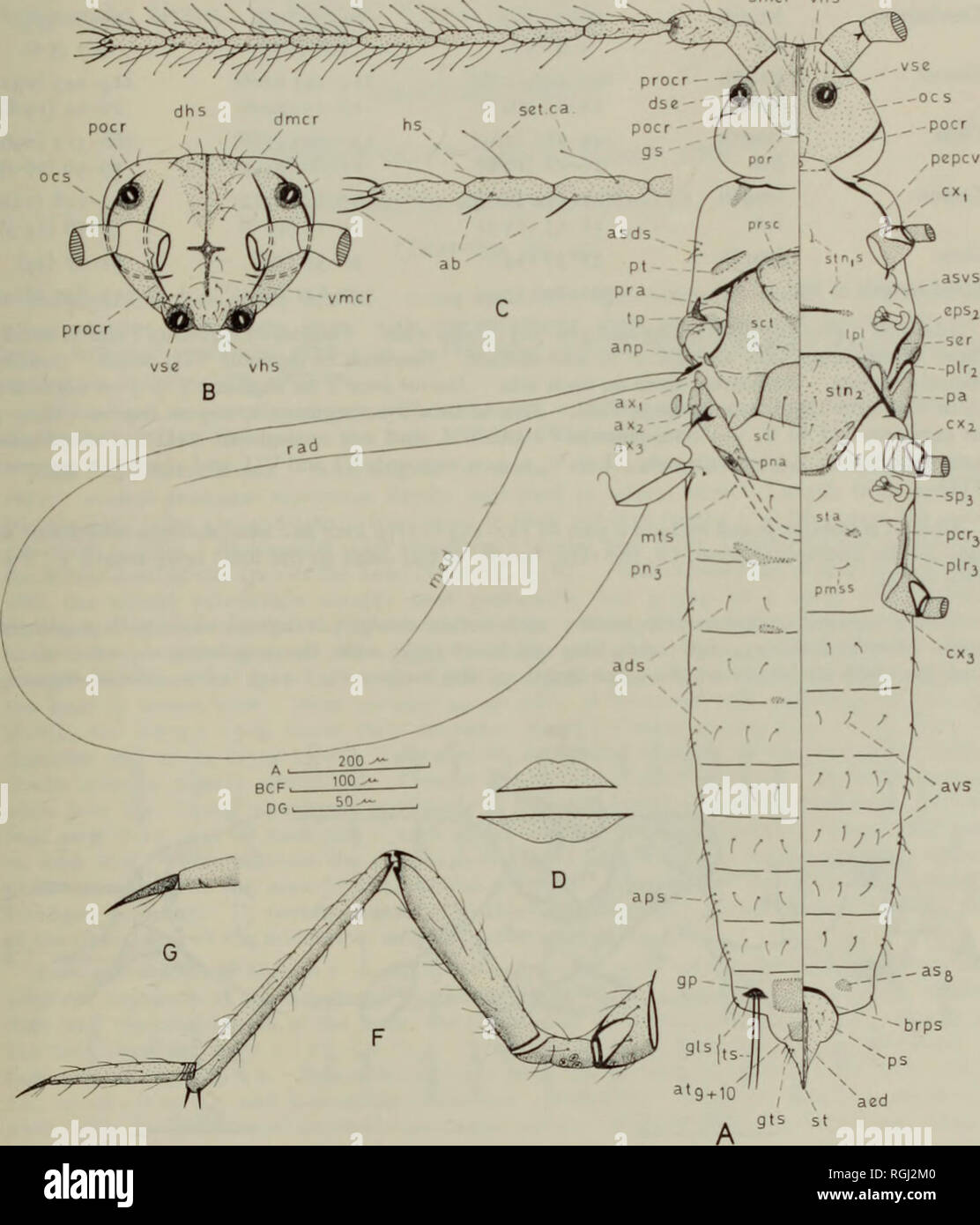 Dmcr hi-res stock photography and images - Alamy