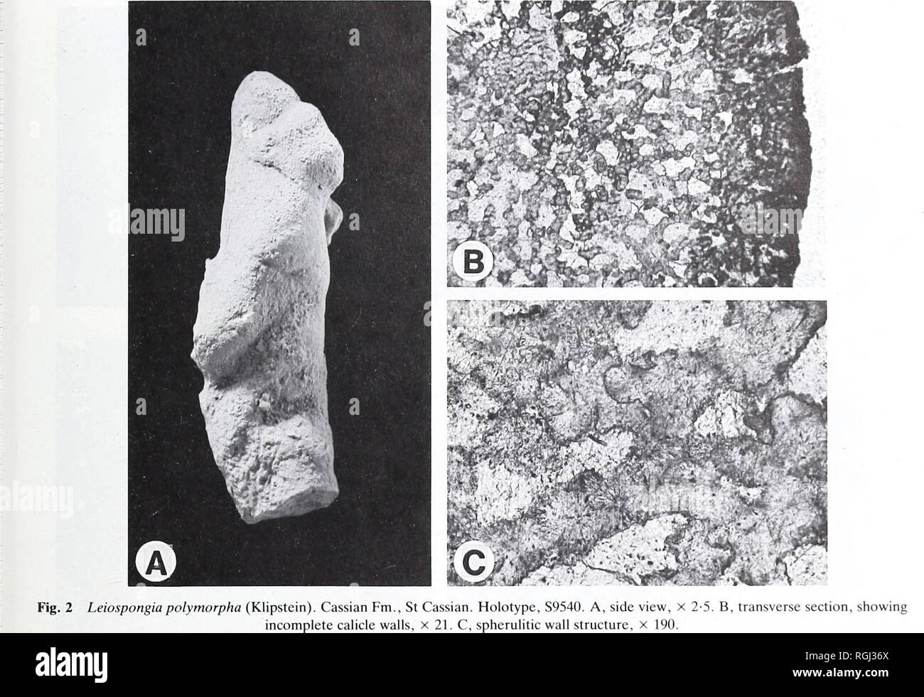 Spherulite hi-res stock photography and images - Alamy