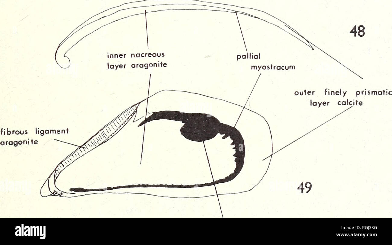 Triangular prismatic structure hi-res stock photography and images - Alamy