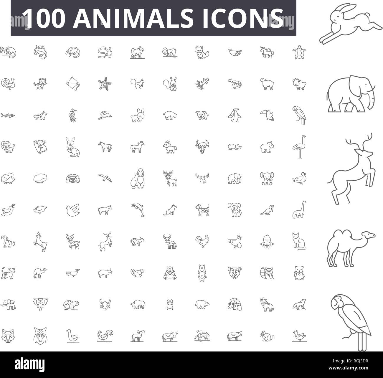 Animal Text Symbols