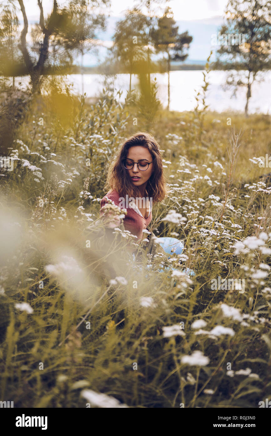 Crouching day field flower hi-res stock photography and images - Alamy