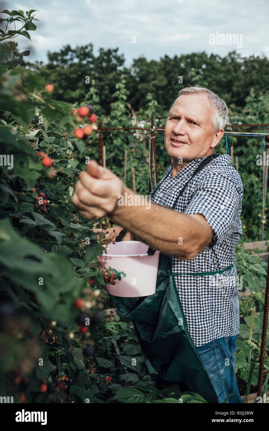 Harvesting harvests hi-res stock photography and images - Alamy