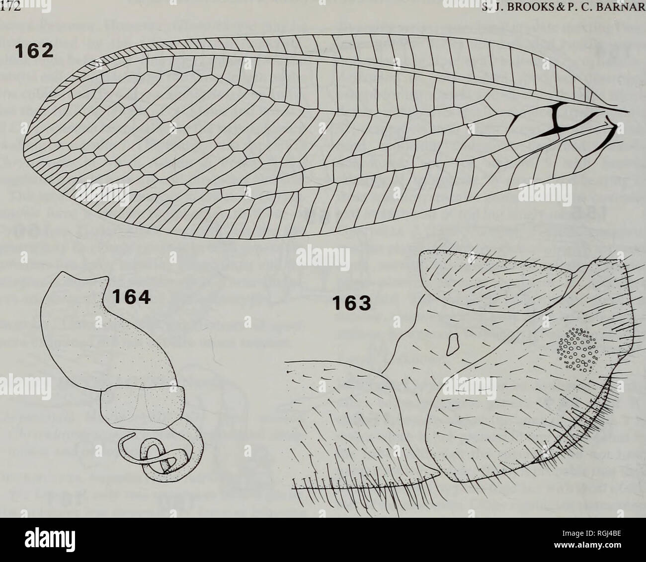 Barnard 163 hi-res stock photography and images - Alamy