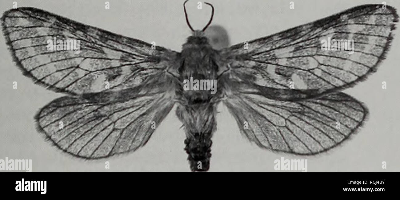 . Bulletin of the British Museum (Natural History) Entomology. A REVIEW ...