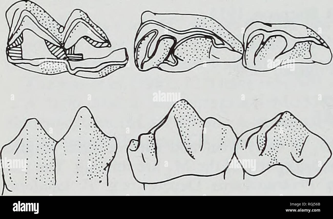 Fort ternan hi-res stock photography and images - Alamy