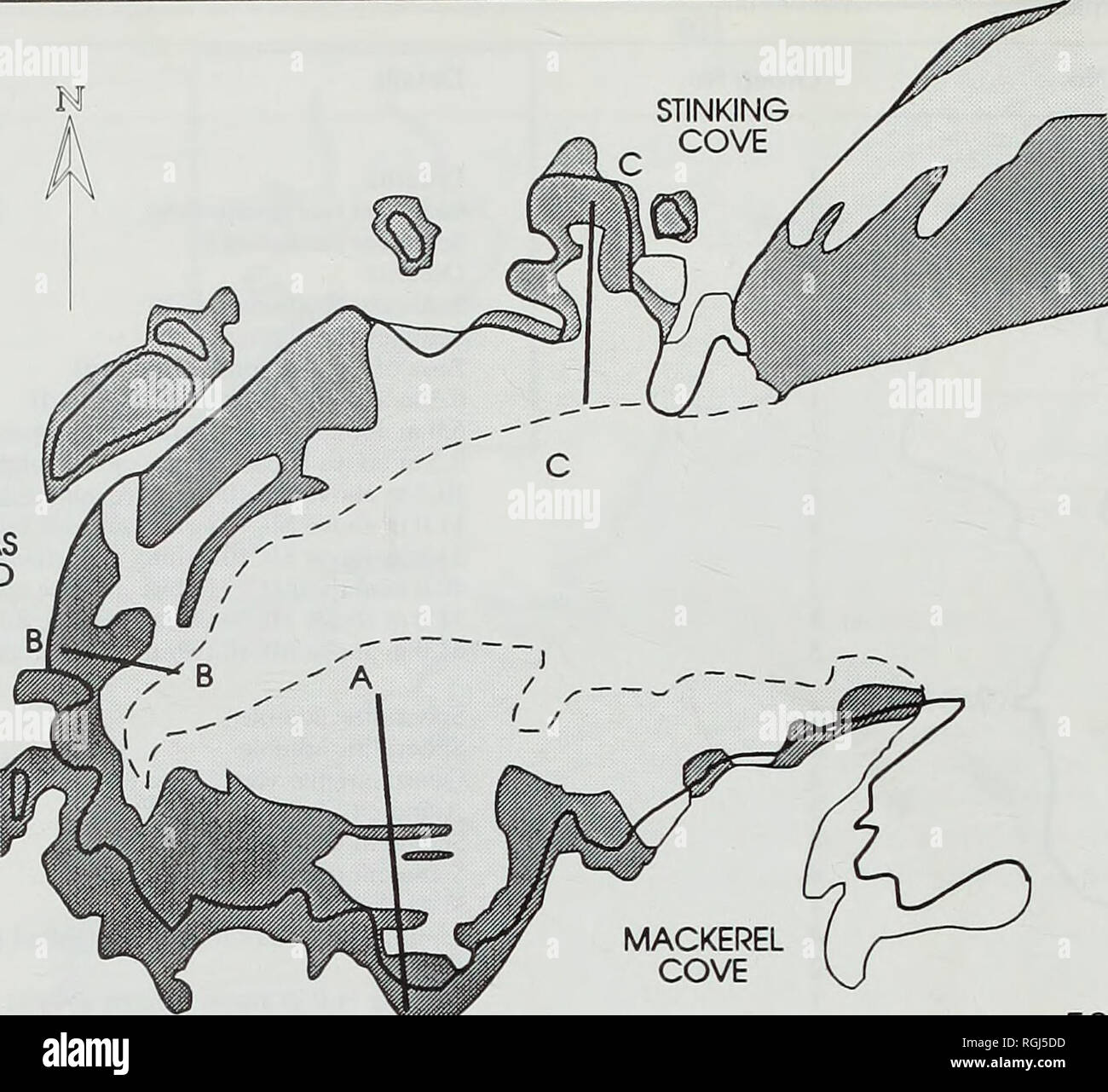 . Bulletin of the British Museum (Natural History), Geology. 84 C.T ...