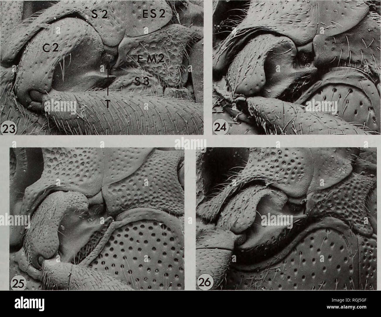 Group c2 hi-res stock photography and images - Alamy