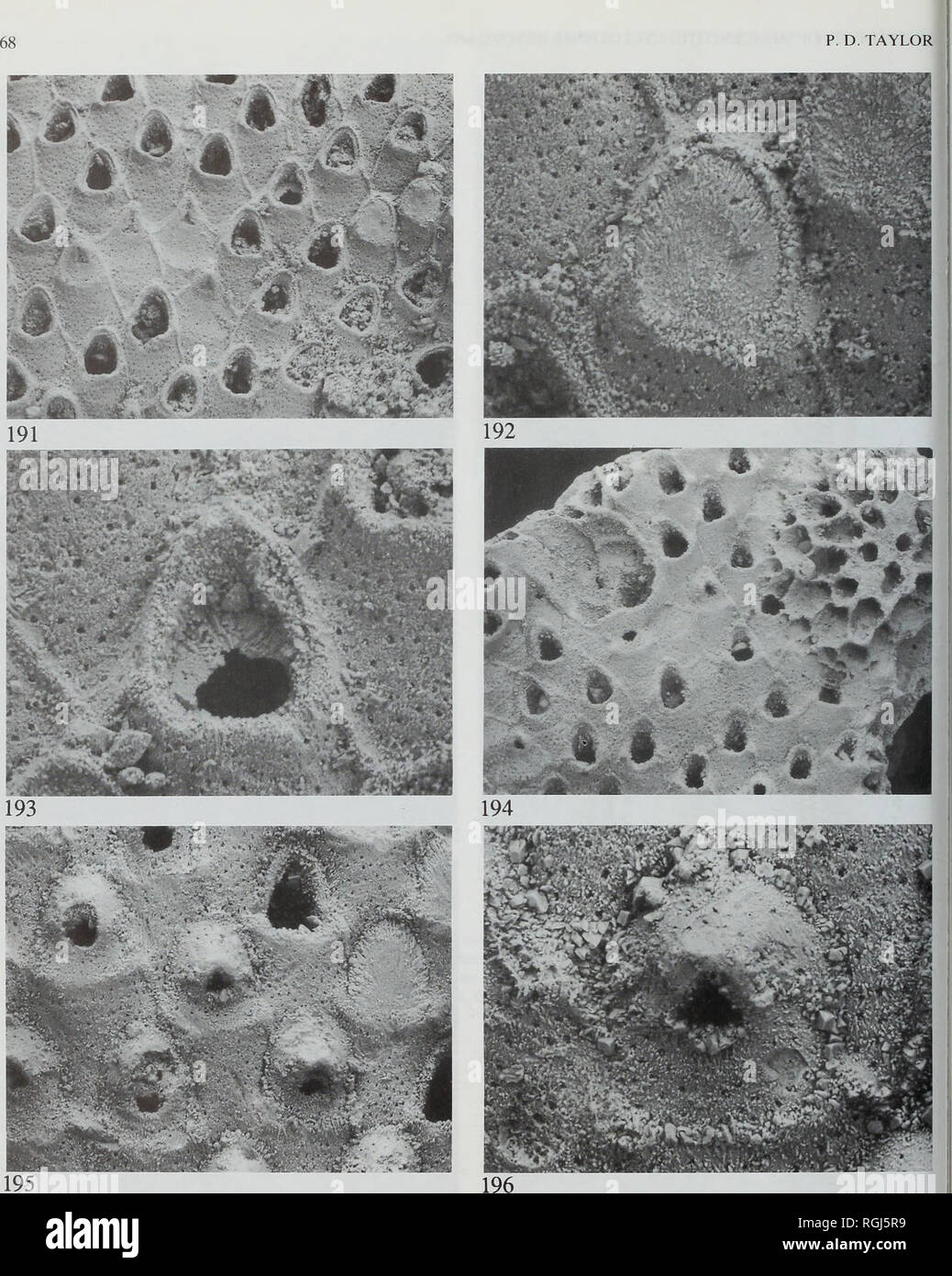 Terminal bois hi-res stock photography and images - Alamy