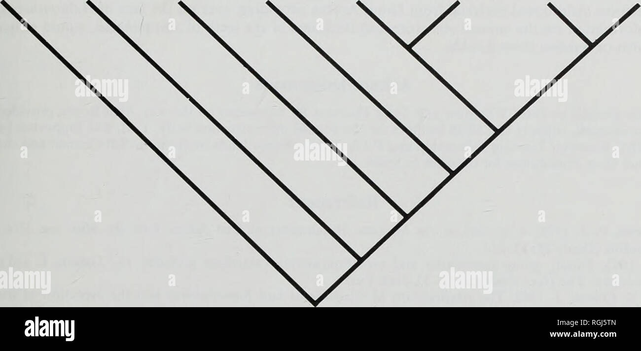 Cladogram hi-res stock photography and images - Alamy