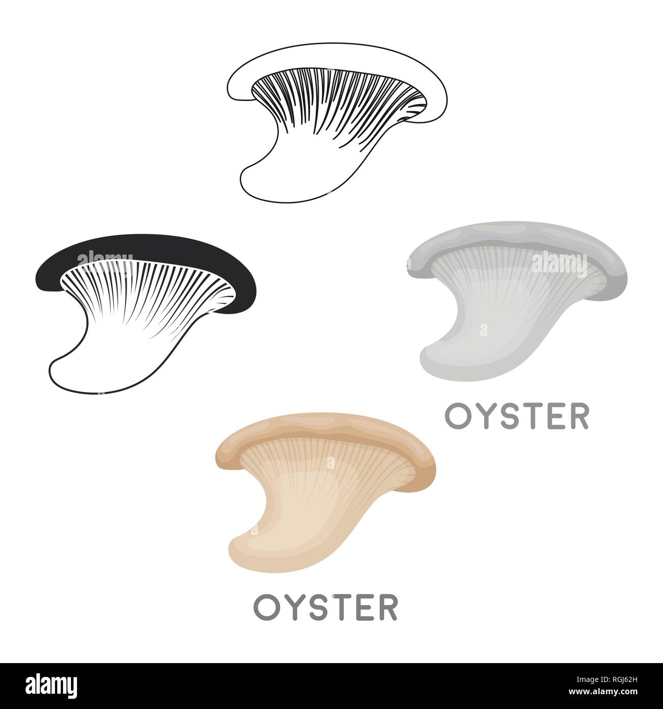 abalone,agaricus,art,autumn,background,bio,brown,cartoon,cook,design ...