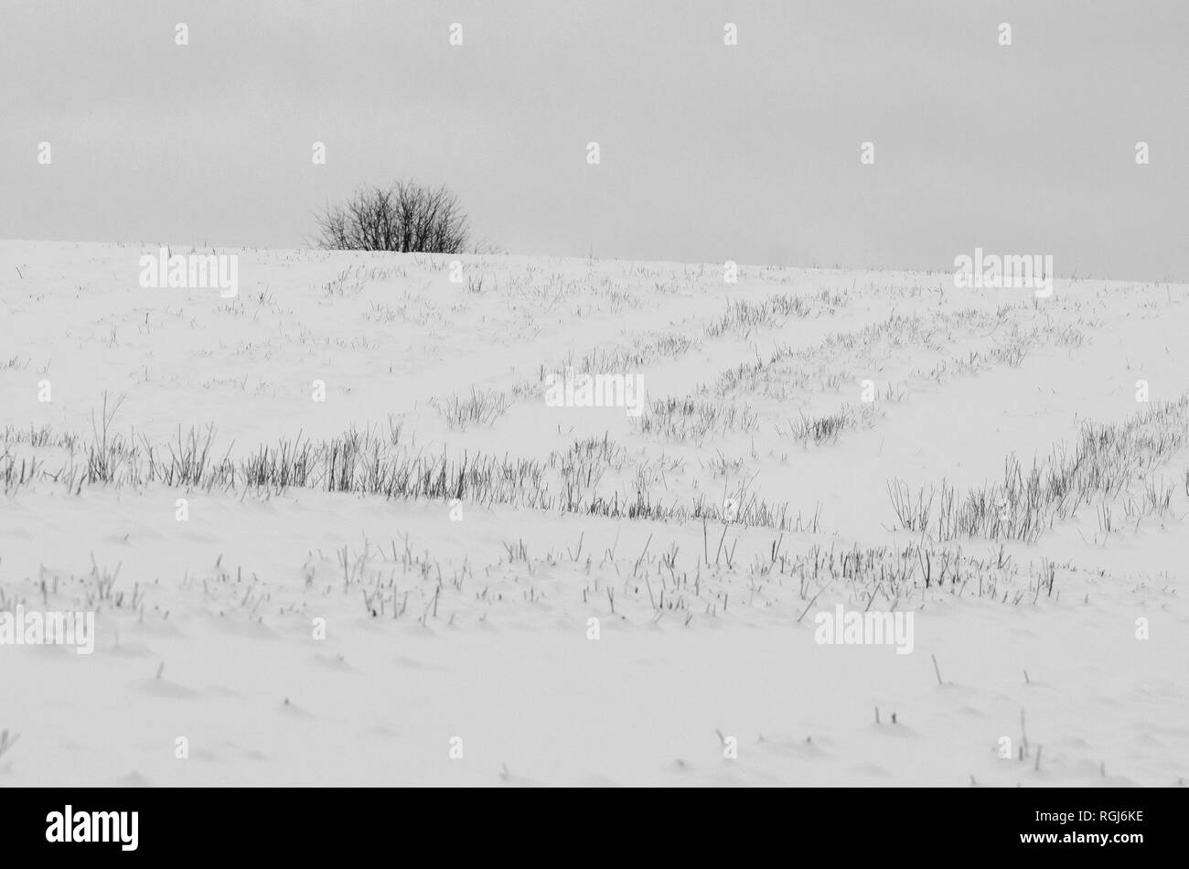 Simple winter scene hi-res stock photography and images - Alamy