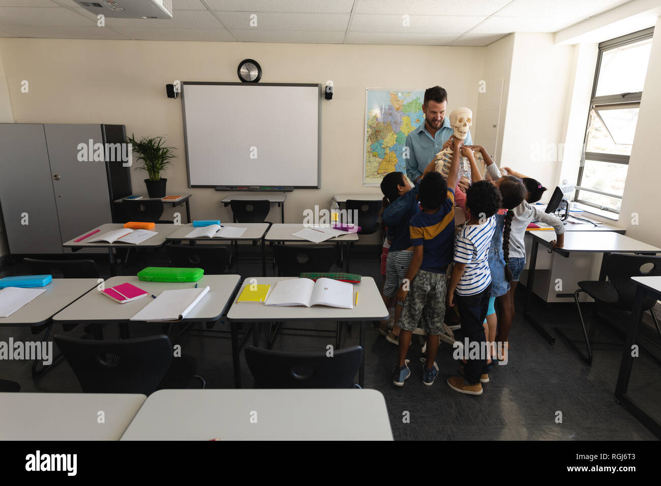 Far sight of schoolkids learning anatomy of human skeleton in classroom ...
