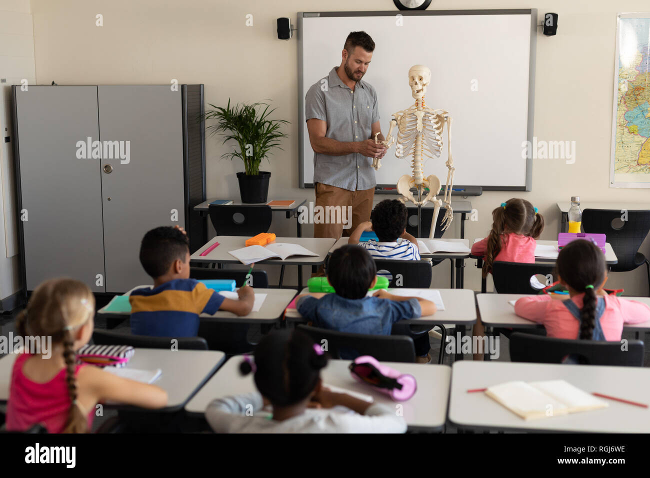 Far sight of male teacher explaining human skeleton model in classroom ...