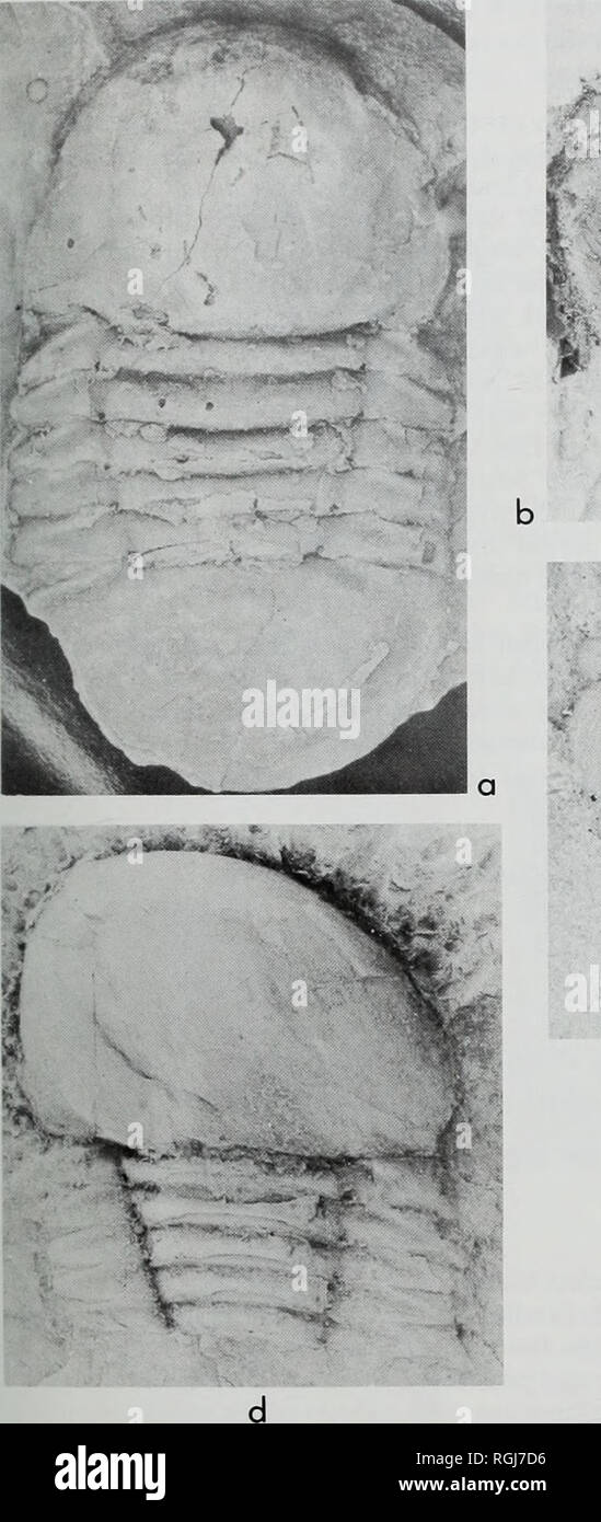 Sag curve hi-res stock photography and images - Alamy
