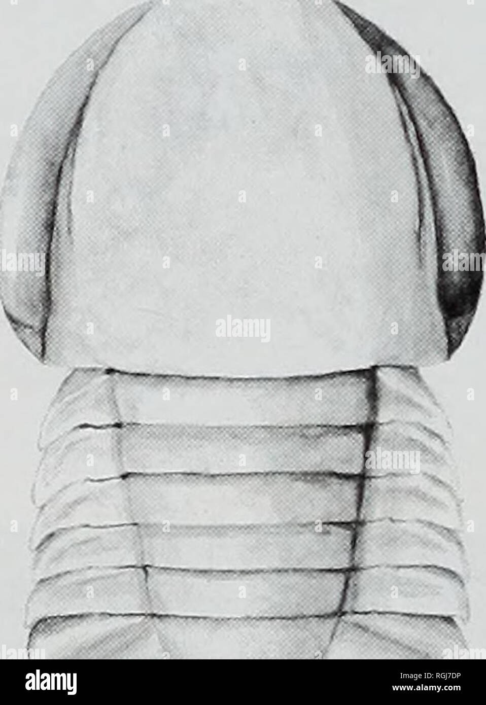 Llanfallteg hi-res stock photography and images - Alamy