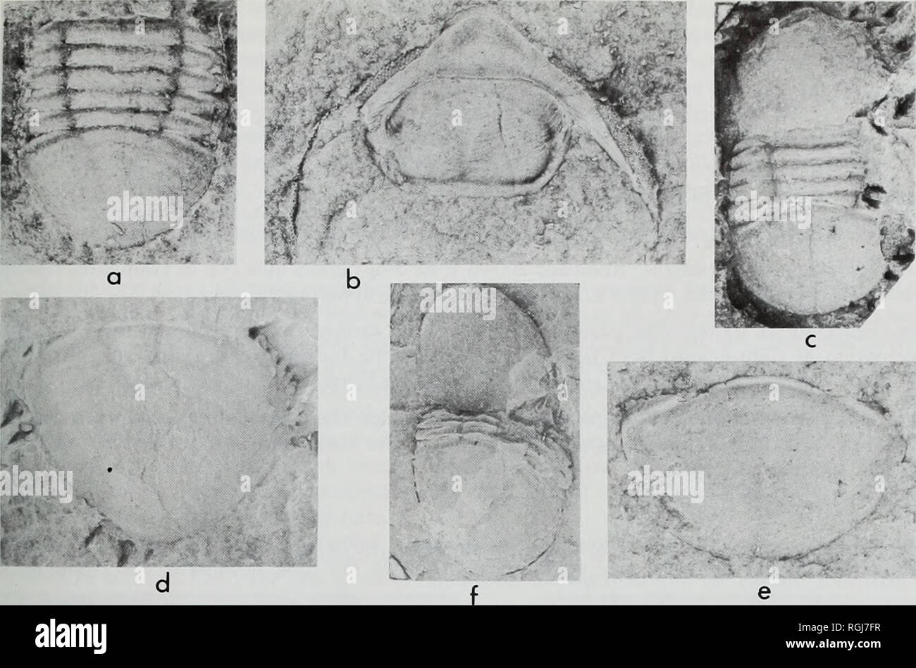 15934 hi-res stock photography and images - Alamy