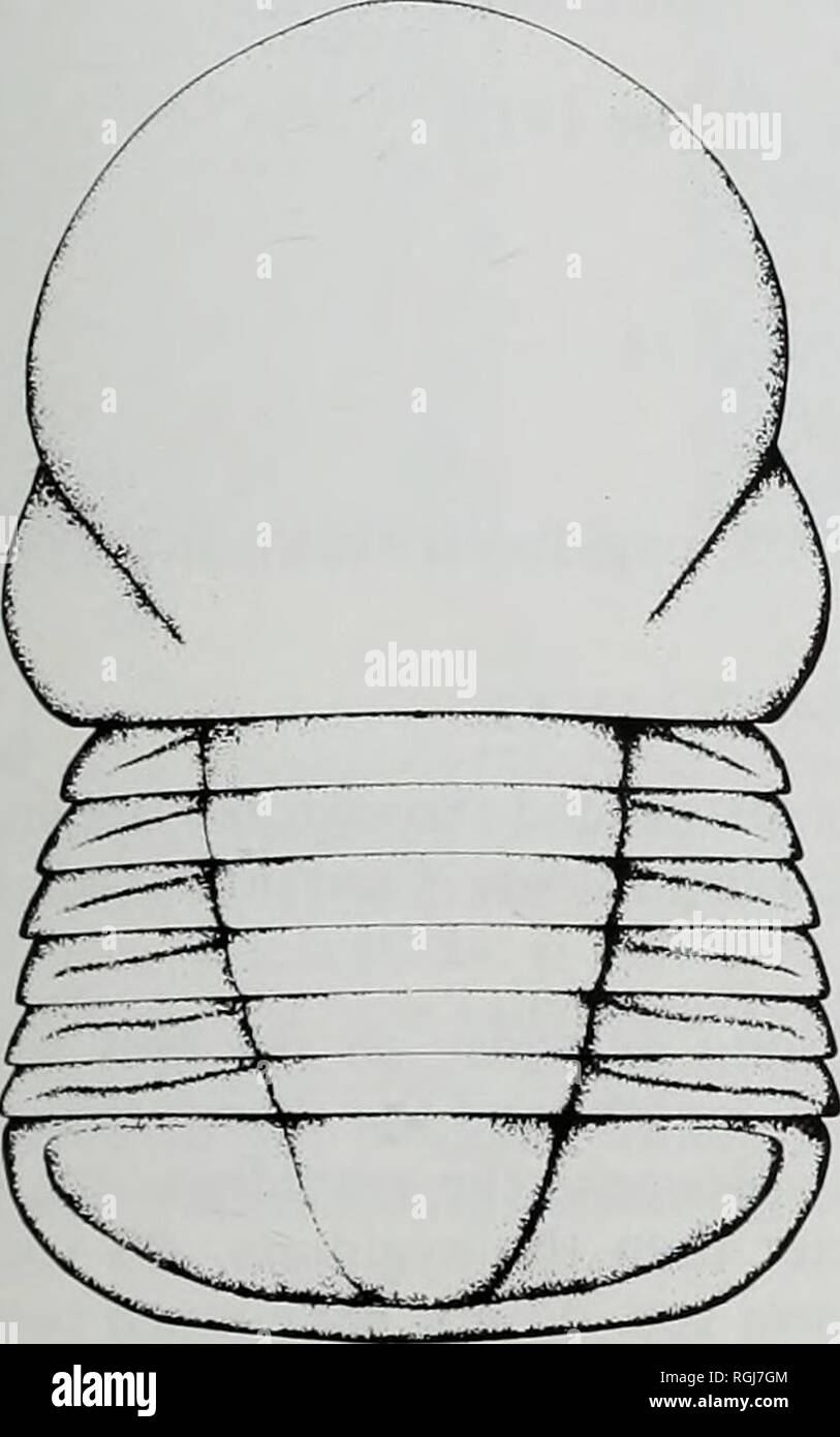 Long axial length hi-res stock photography and images - Alamy