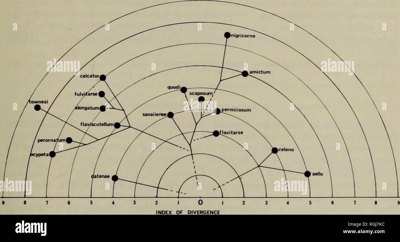 Phylogenetic taxonomy hi-res stock photography and images - Alamy
