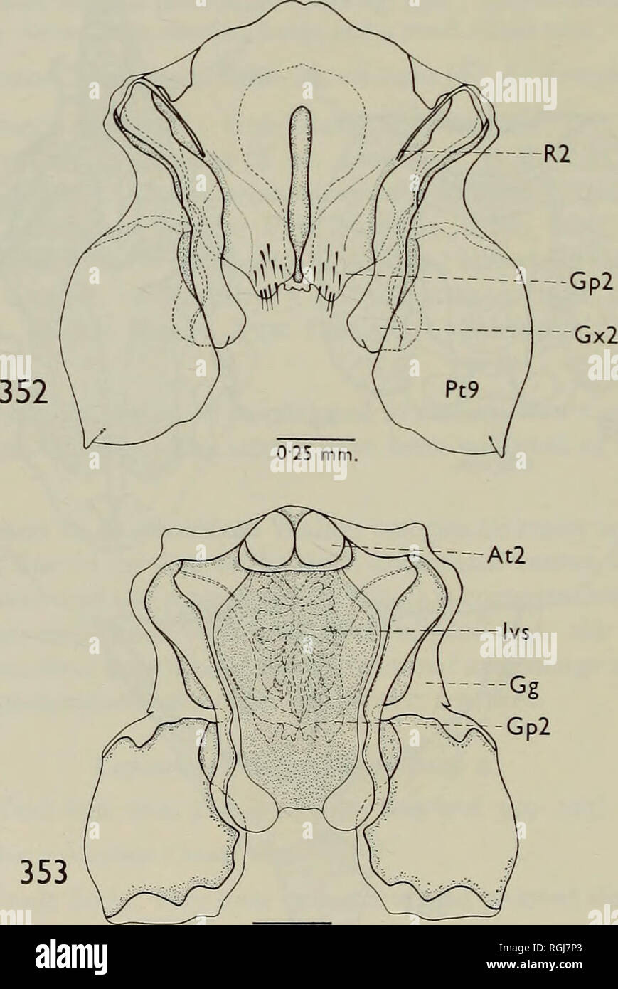 . Bulletin of the British Museum (Natural History) Entom Supp. io8 I ...