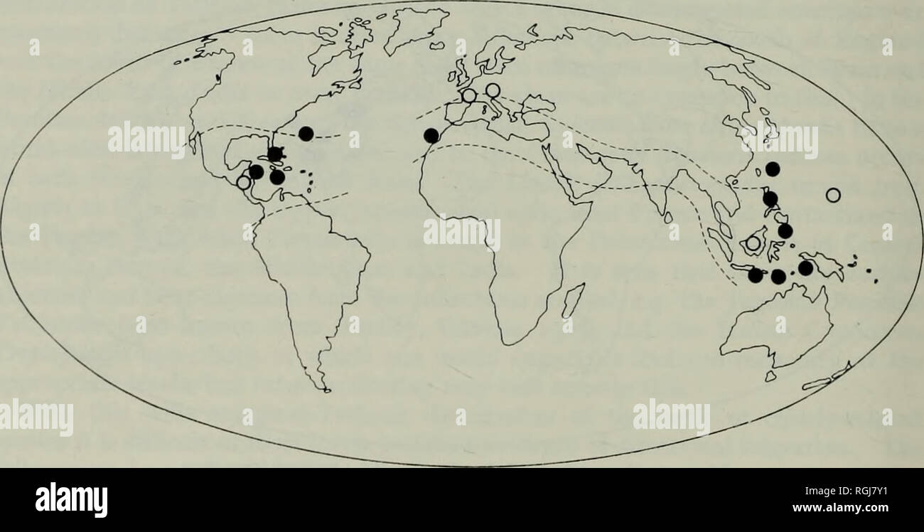 Cretaceous Palaeogene High Resolution Stock Photography and Images - Alamy