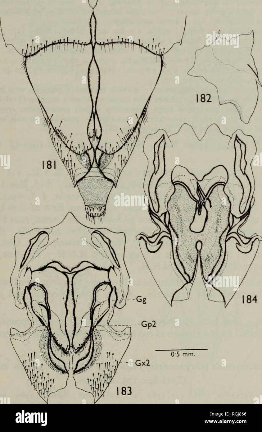. Bulletin of the British Museum (Natural History) Entom Supp. THE ...