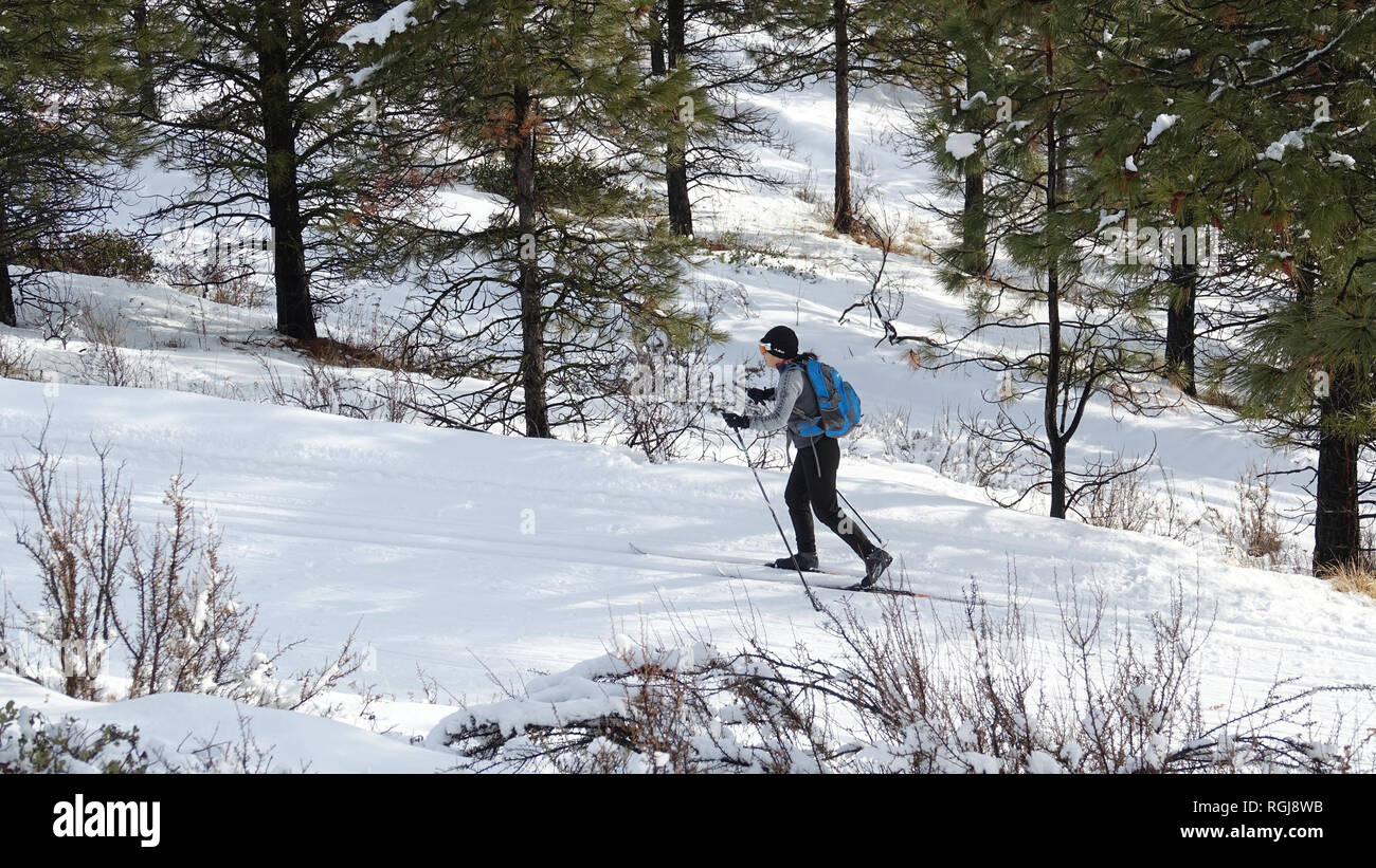 Winterrecreation hi-res stock photography and images - Alamy