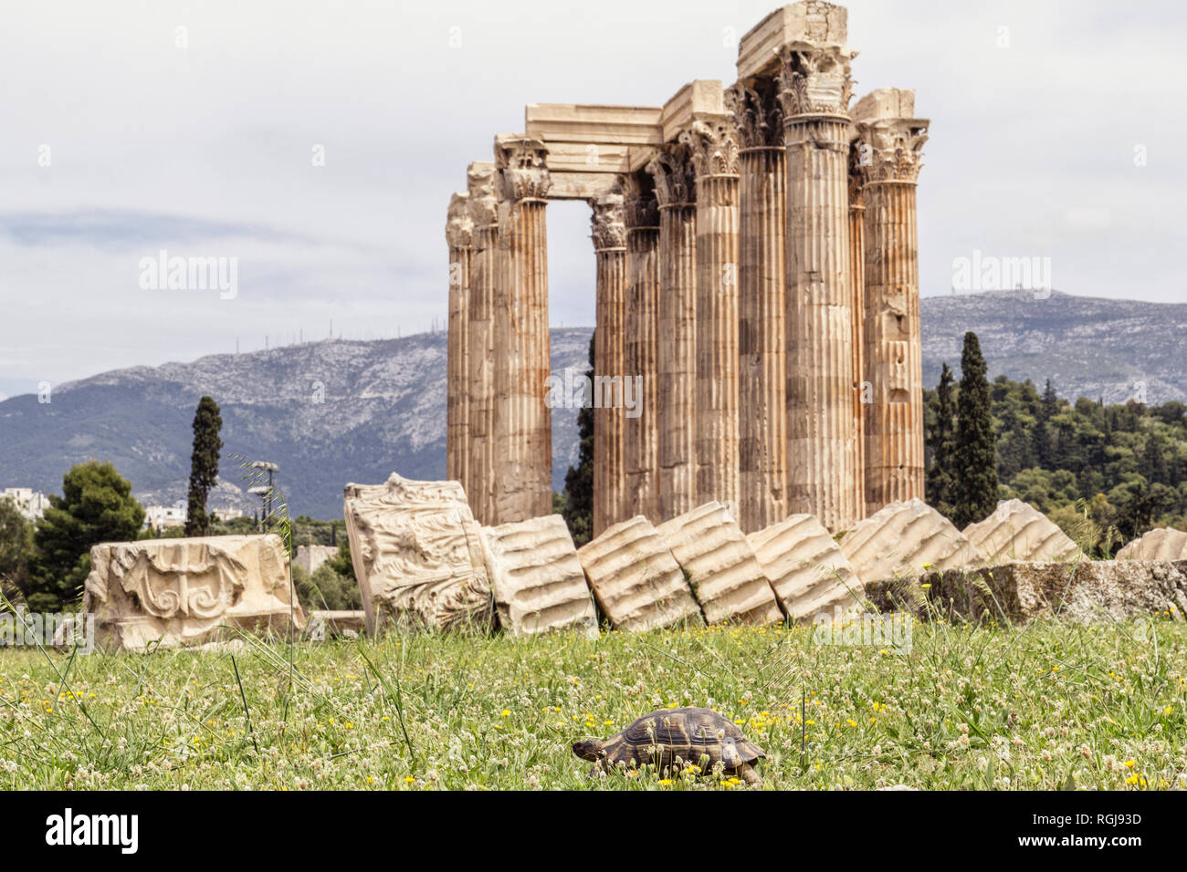 Greece, Athens, Olympeion, Temple of Zeus Stock Photo - Alamy