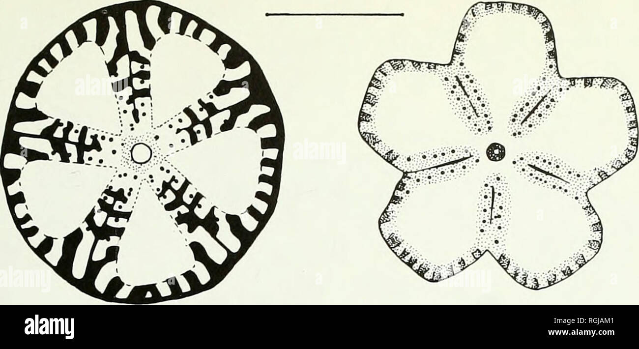 Cuba and saba island hi-res stock photography and images - Alamy